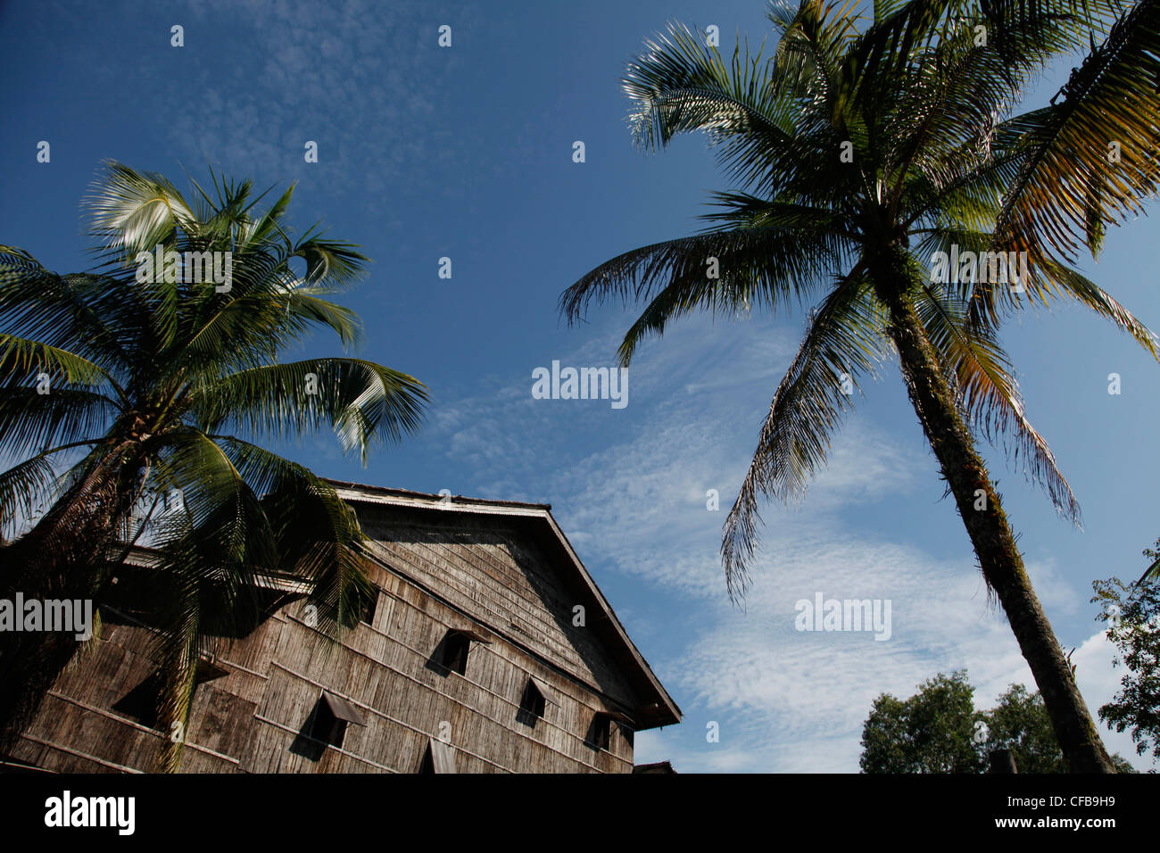 Traditional native Iban longhouse in Borneo, Malaysia Stock Photo - Alamy