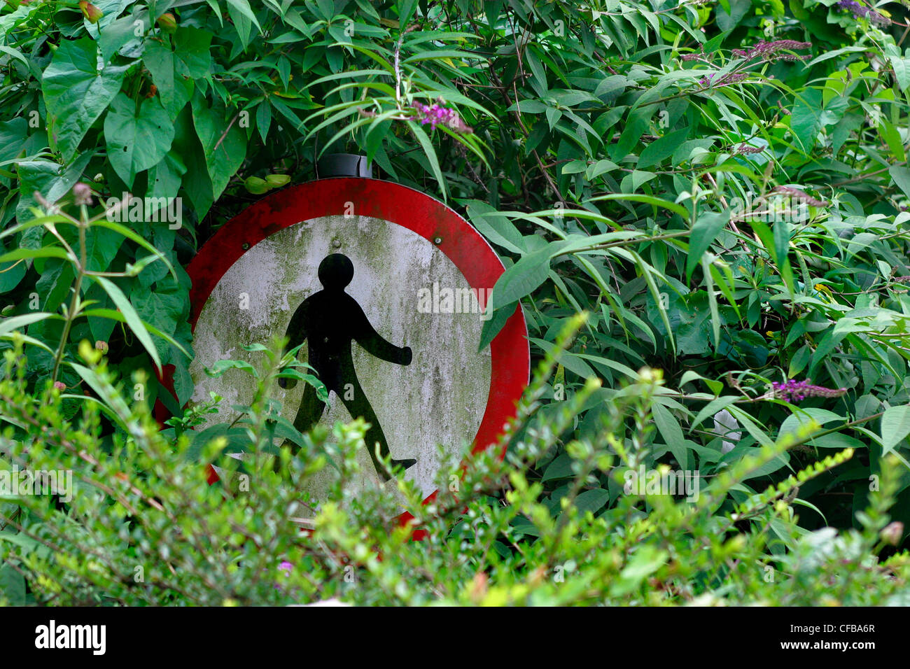 Street sign of a walking man on the road Stock Photo - Alamy