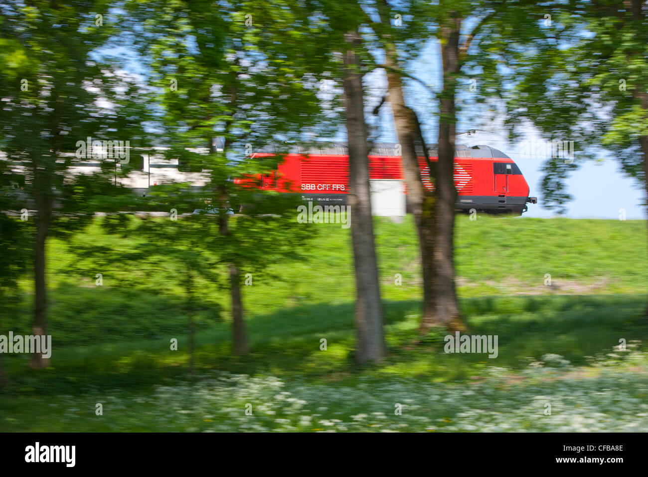 Road, Railway, train, railroad, tree, trees, Switzerland Stock Photo ...