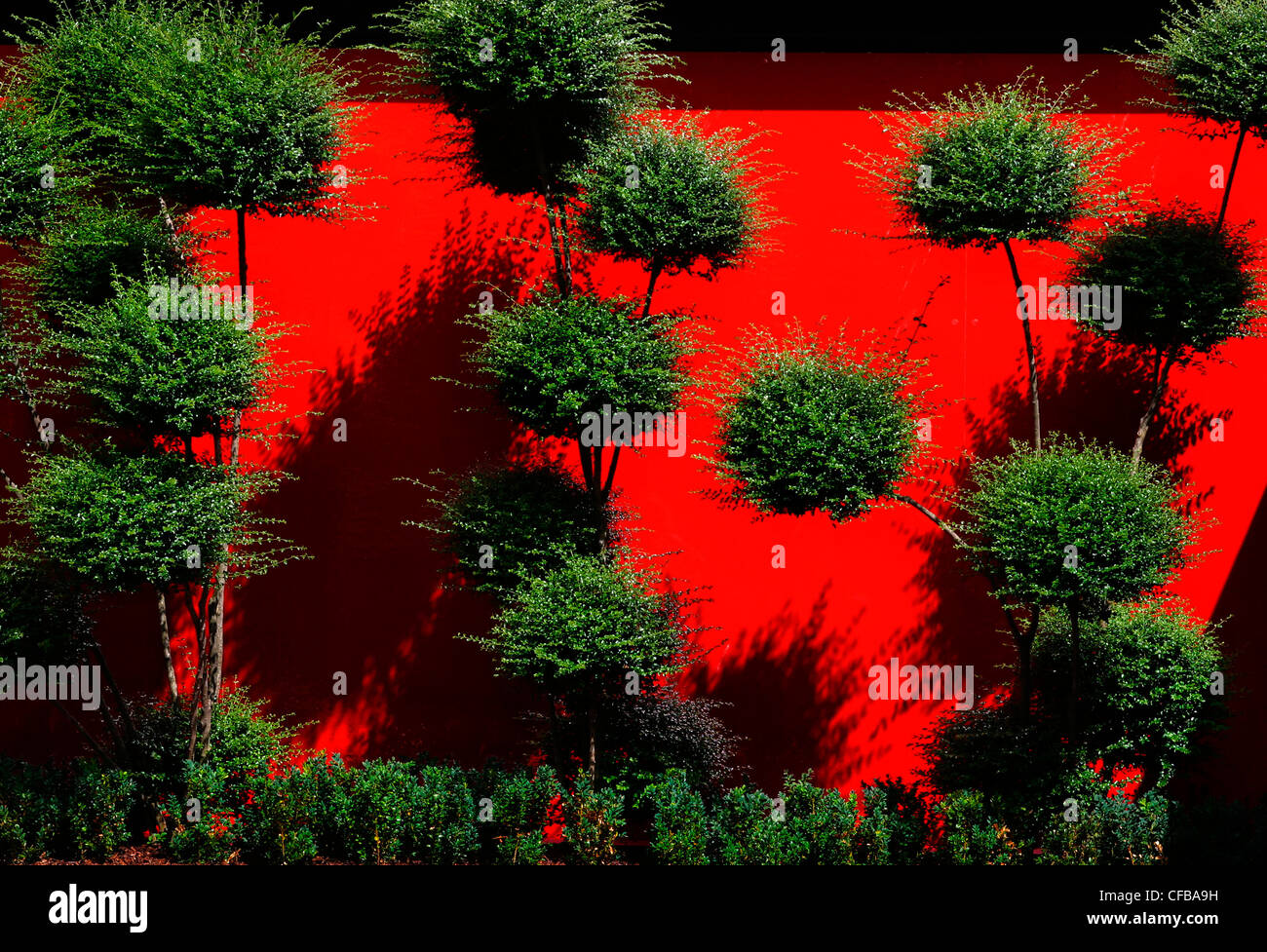 Topiary shrubs hi-res stock photography and images - Alamy