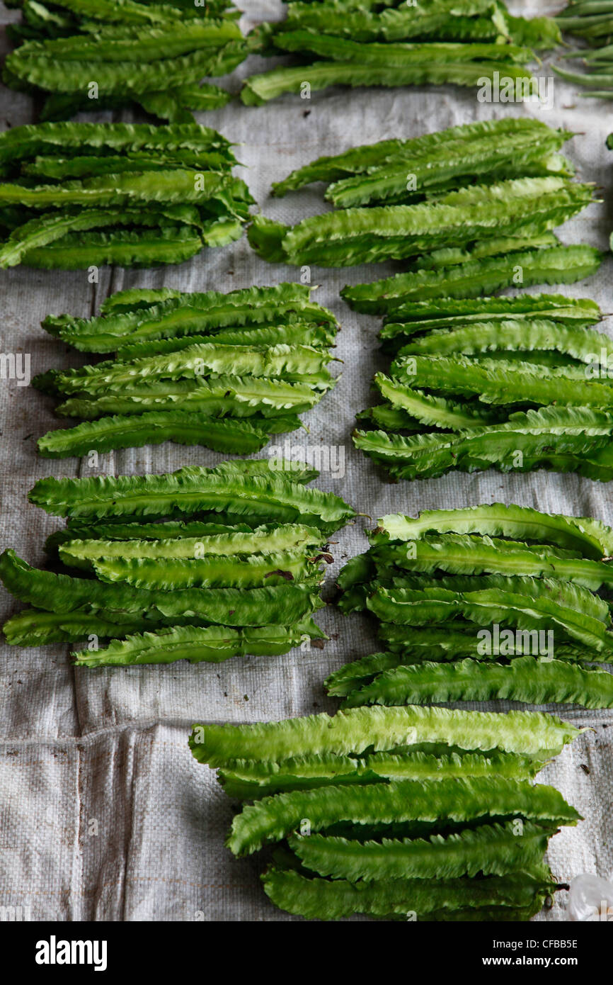 Tropical vegetables at a market stall in Borneo, Malaysia Stock Photo ...