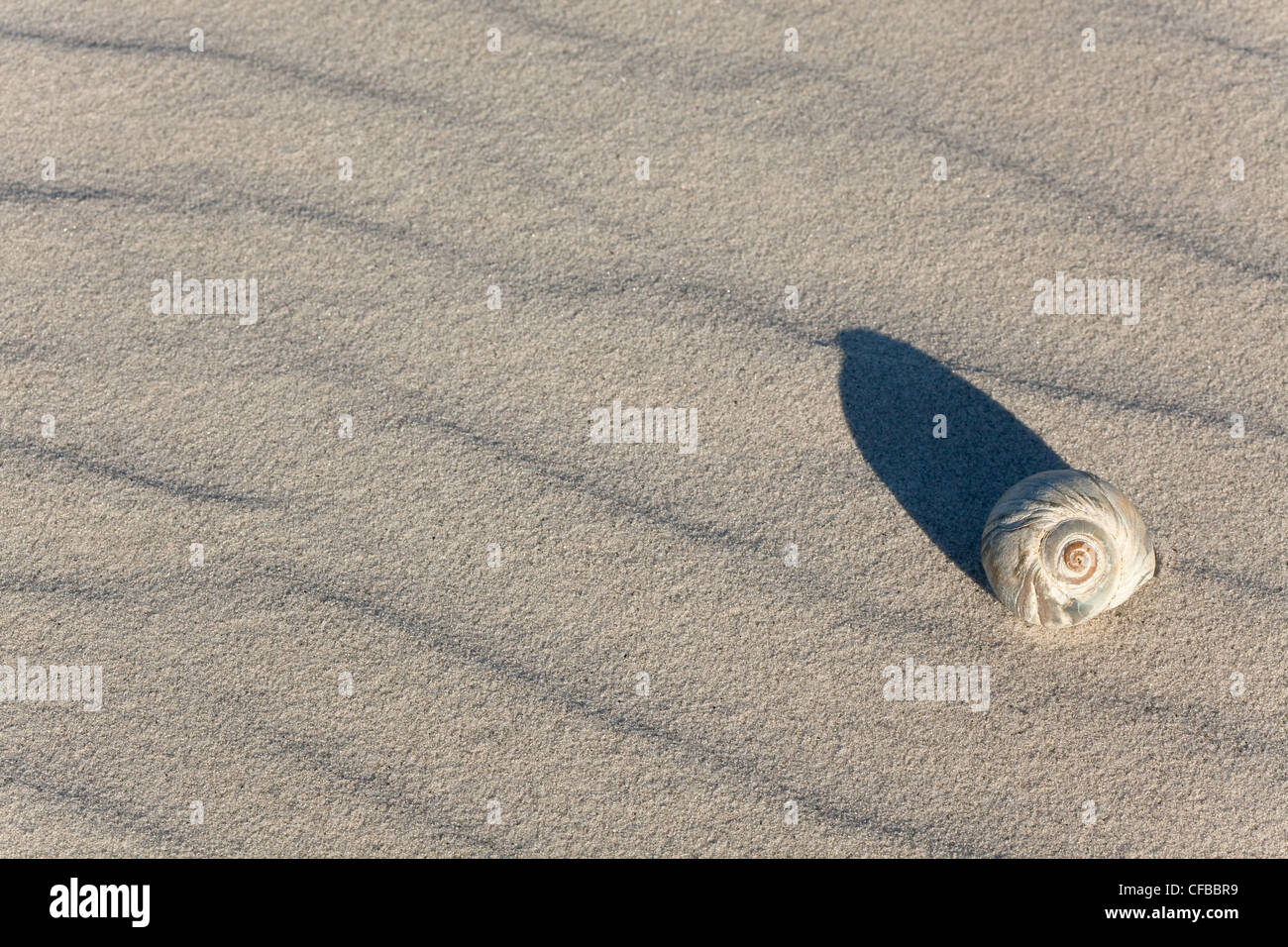 Moon pattern hi-res stock photography and images - Alamy
