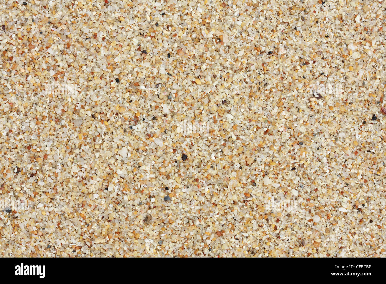 sand ground, macro shot Stock Photo - Alamy