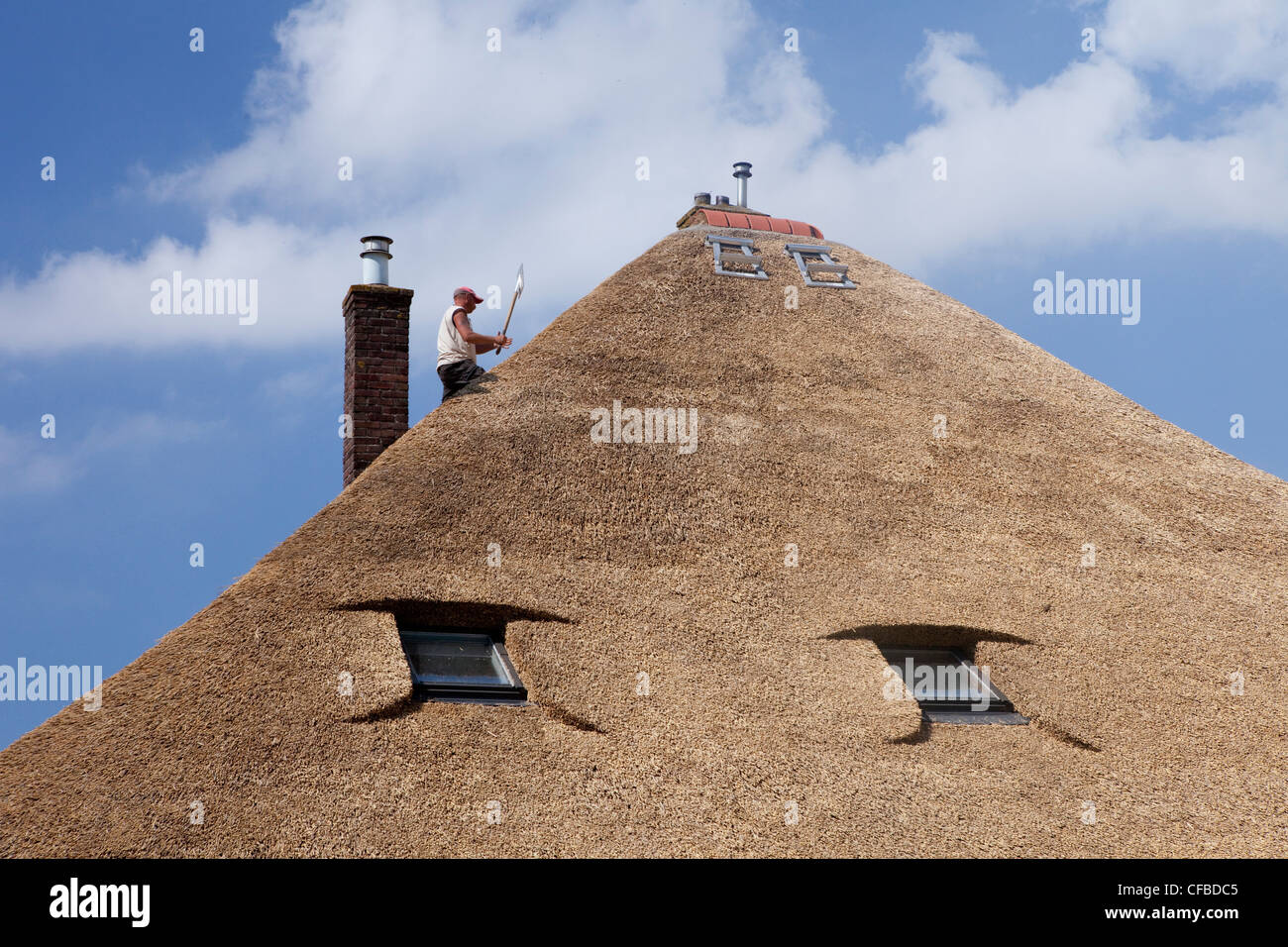 Holland, Europe, Netherlands, Texel, house, home, roof, reed roof ...