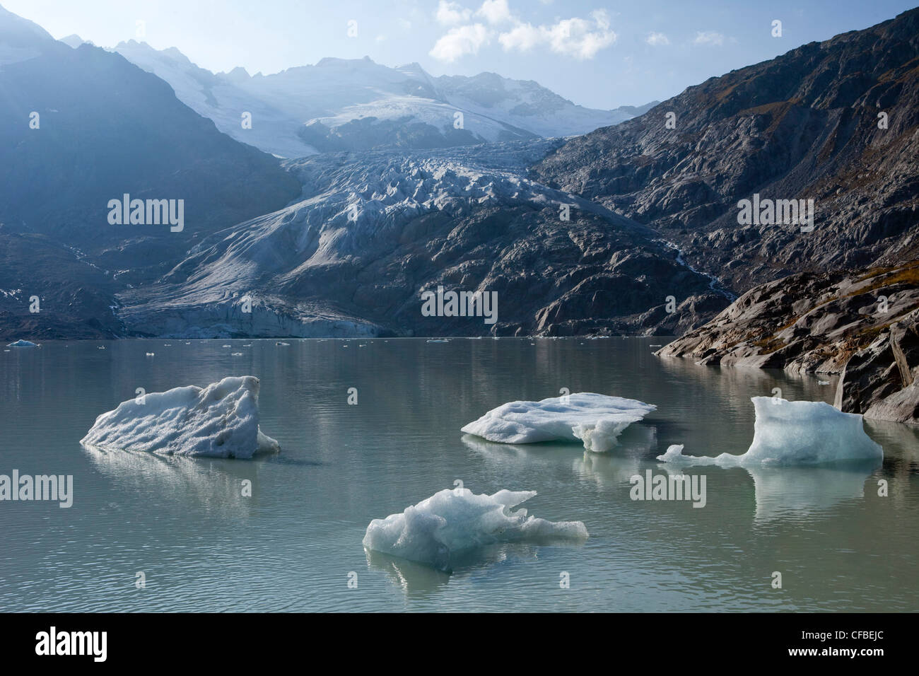 Urbach, valley, mountain, mountains, canton Bern, Gauli, Gauligletscher ...