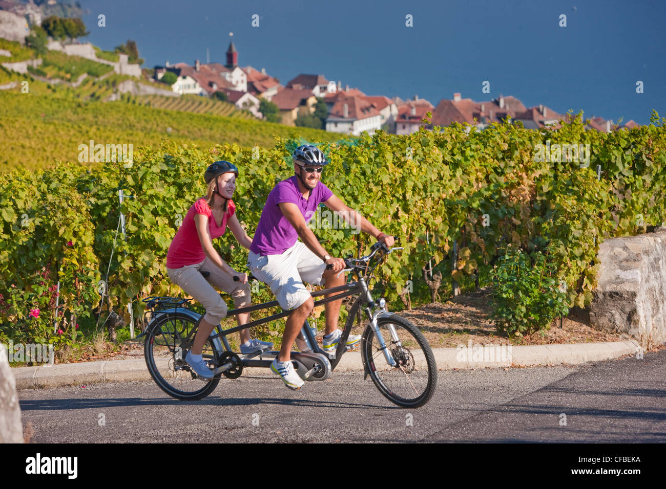Bicycle, bicycles, bike, riding a bicycle, riding a bike, bicycle, bike ...