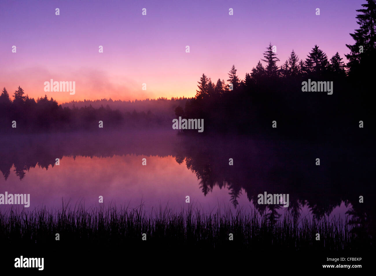 Scenery, nature, lake, sunrise, reflection, water, canton, Switzerland ...