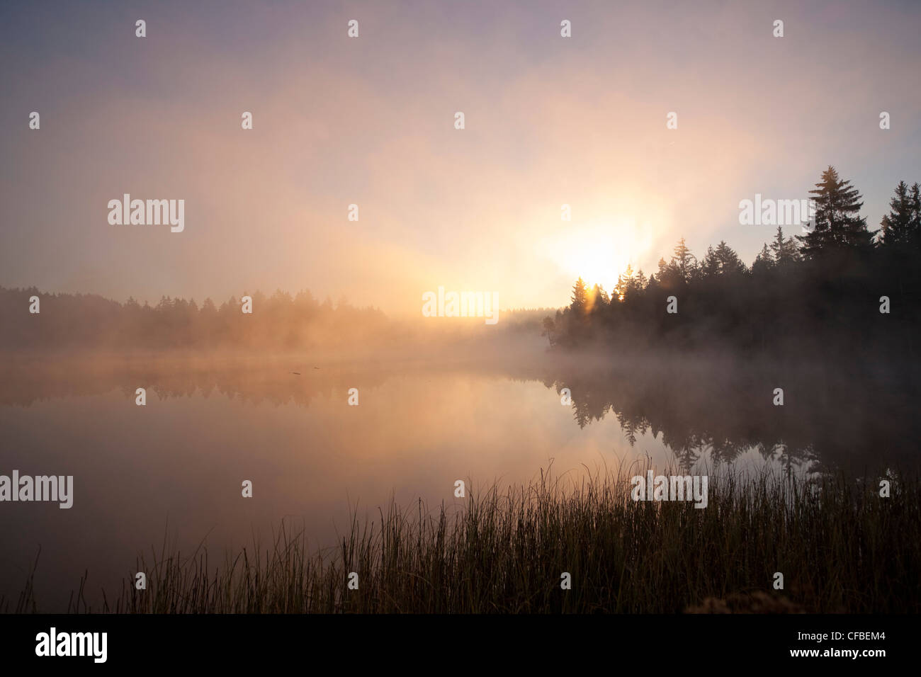 Scenery, nature, lake, sunrise, reflection, water, canton, Switzerland ...