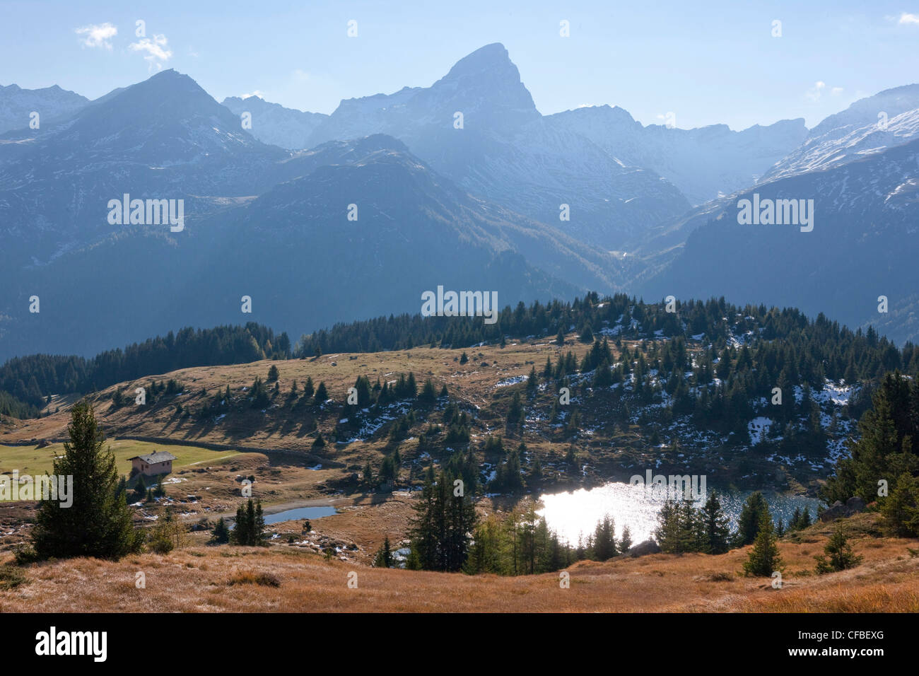 Autumn, tree, trees, canton, Graubünden, Grisons, Switzerland, Europe ...