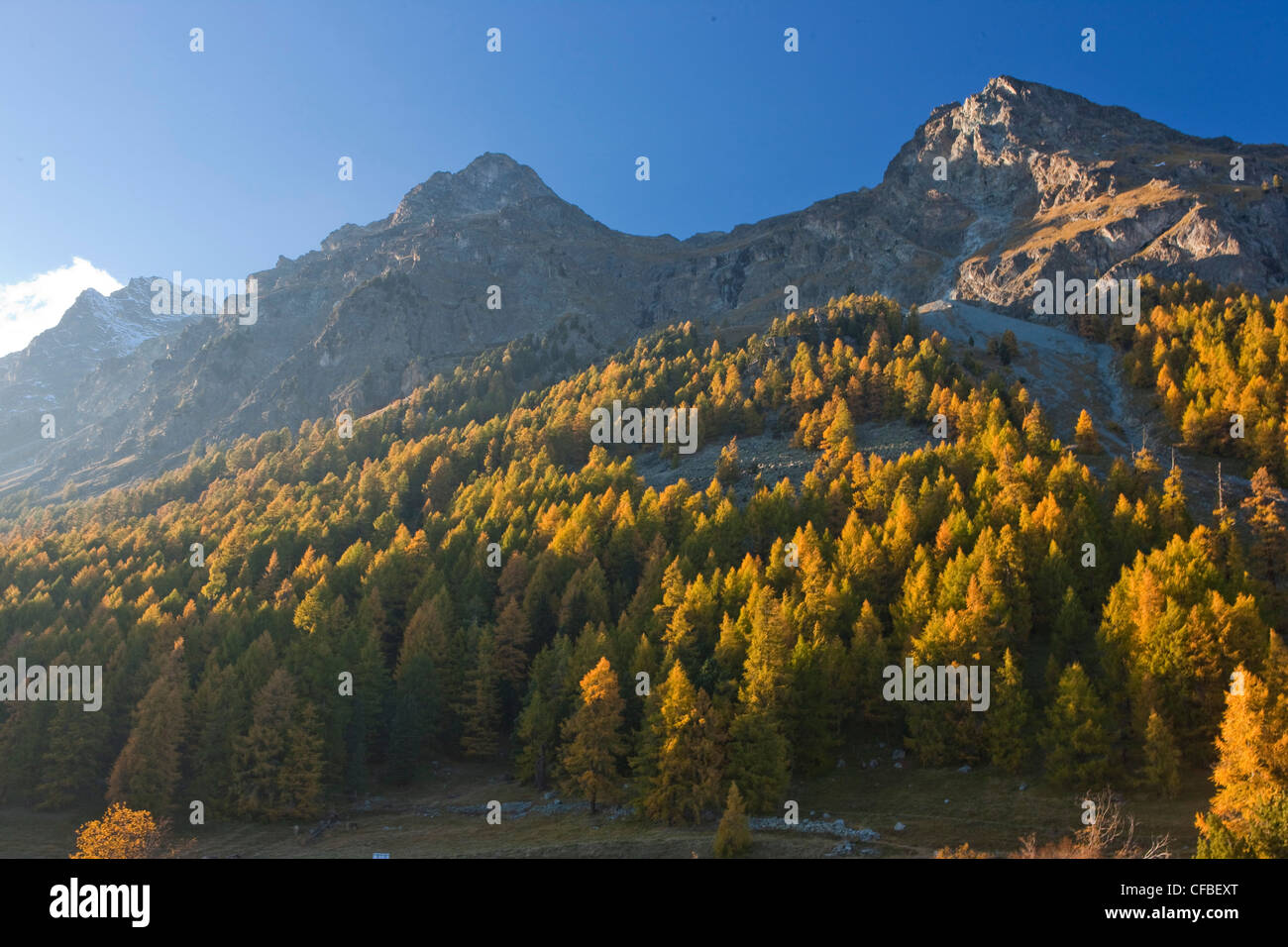 Tree, trees, mountain, mountains, mountain lake, autumn, canton ...