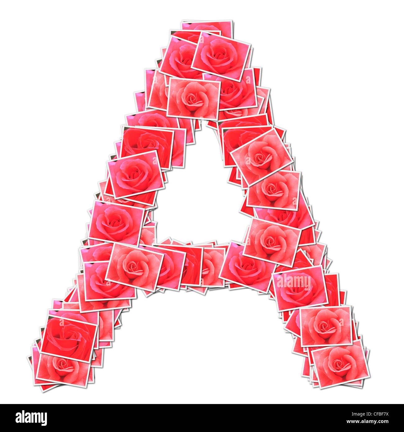 Alphabet Font, made from rose photo Stock Photo - Alamy