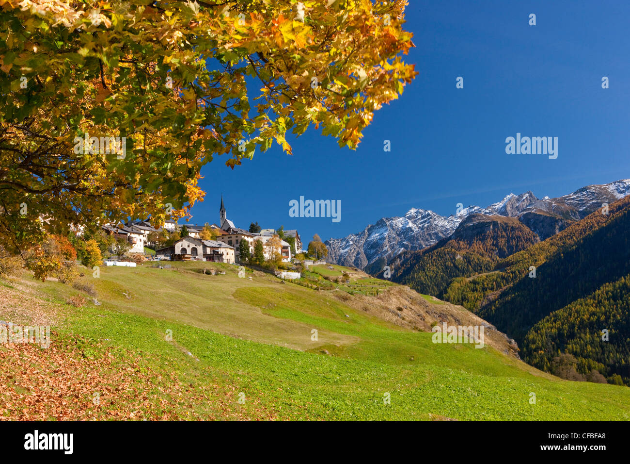Mountain, mountains, autumn, tree, trees, canton, Graubünden, Grisons ...