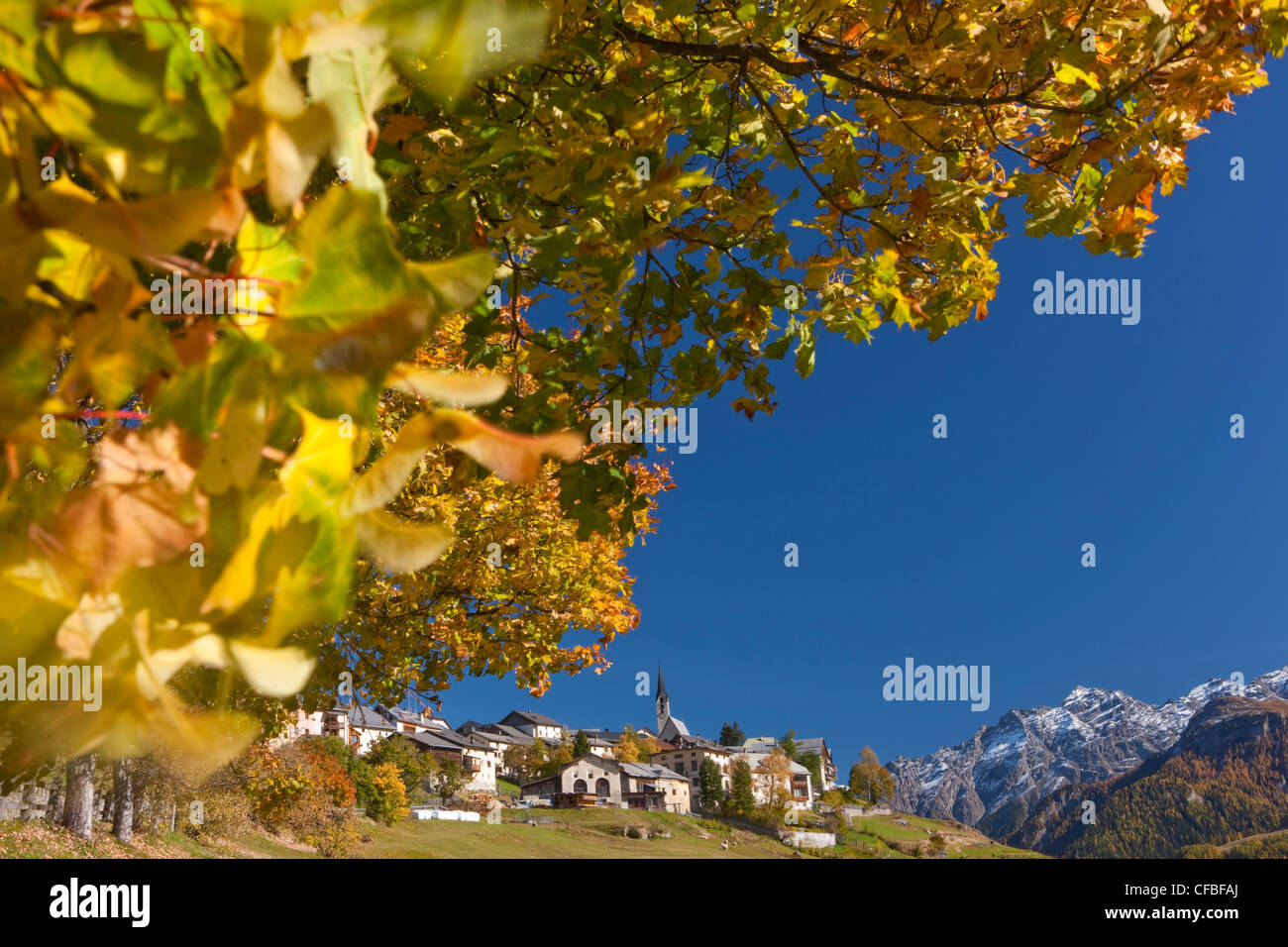 Mountain, mountains, autumn, tree, trees, canton, Graubünden, Grisons ...