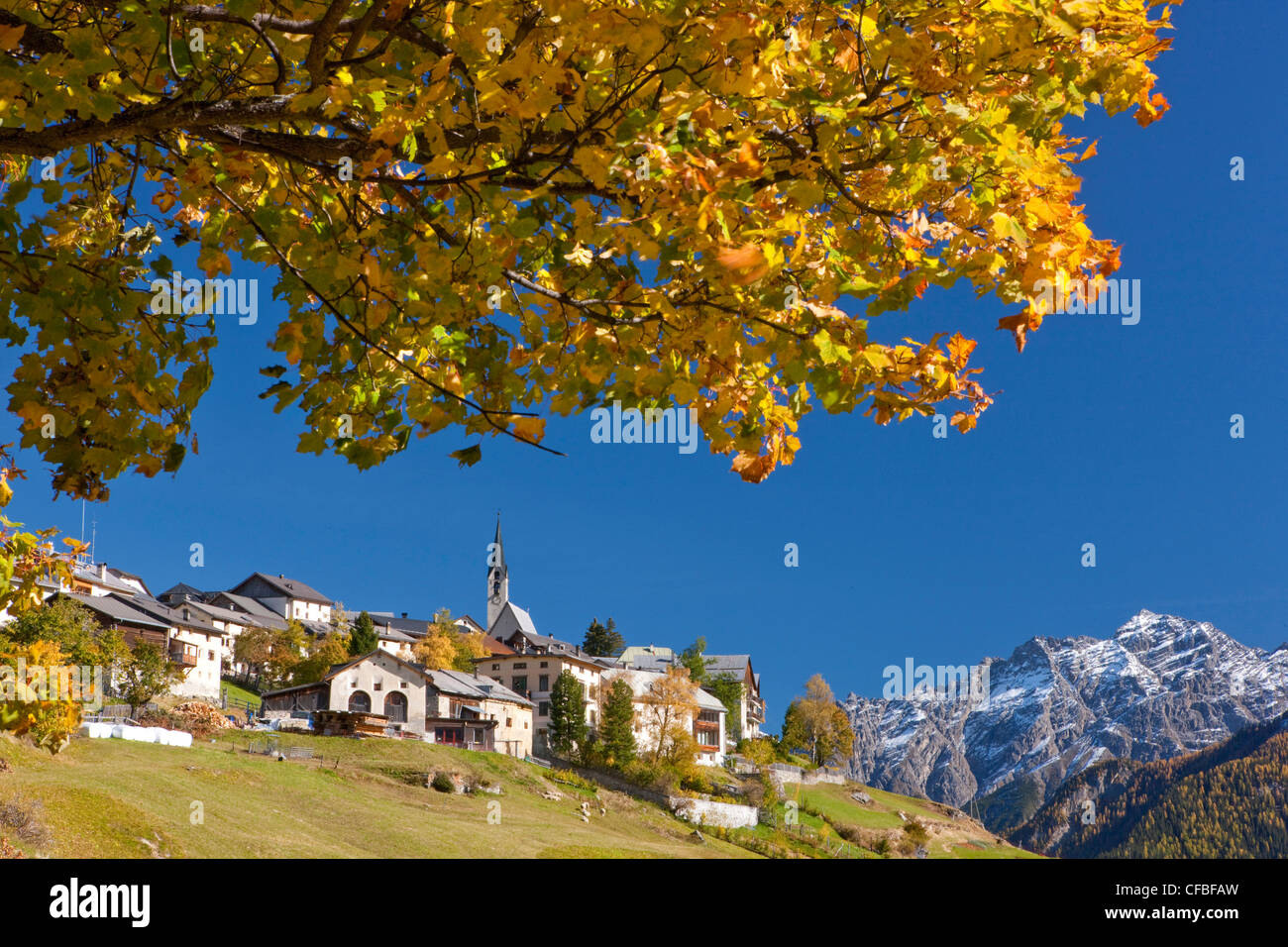 Mountain, mountains, autumn, tree, trees, canton, Graubünden, Grisons ...
