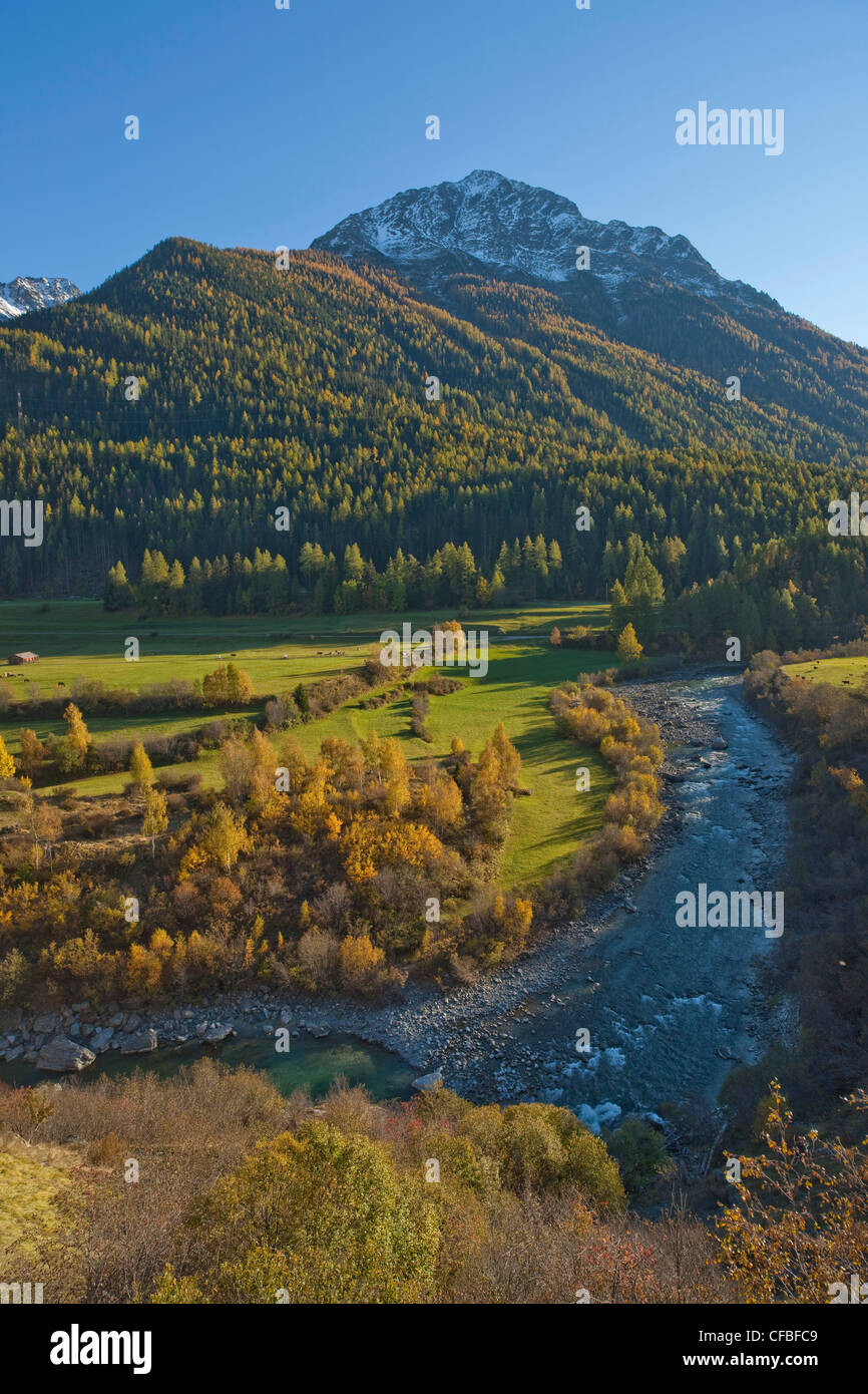 Autumn, tree, trees, canton, Graubünden, Grisons, Switzerland, Europe ...