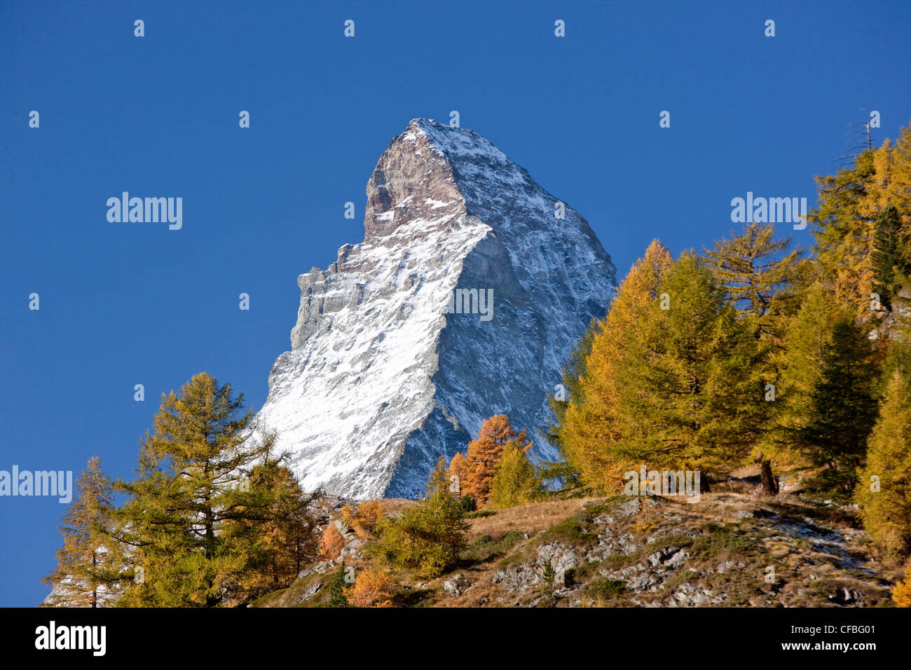 Valais, Wallis, Switzerland, Europe, Alps, tree, trees, mountain ...