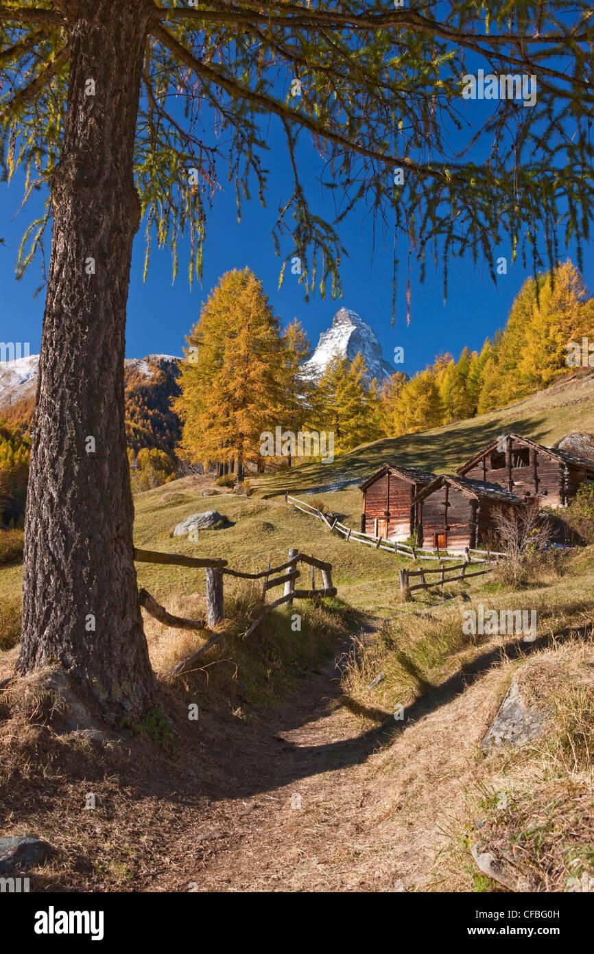 Valais, Wallis, Switzerland, Europe, Alps, tree, trees, mountain ...