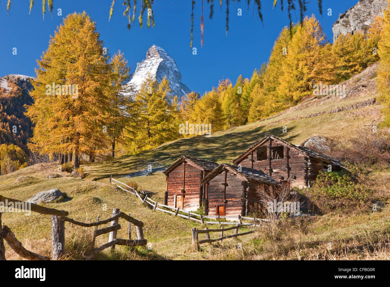 Valais, Wallis, Switzerland, Europe, Alps, tree, trees, mountain ...