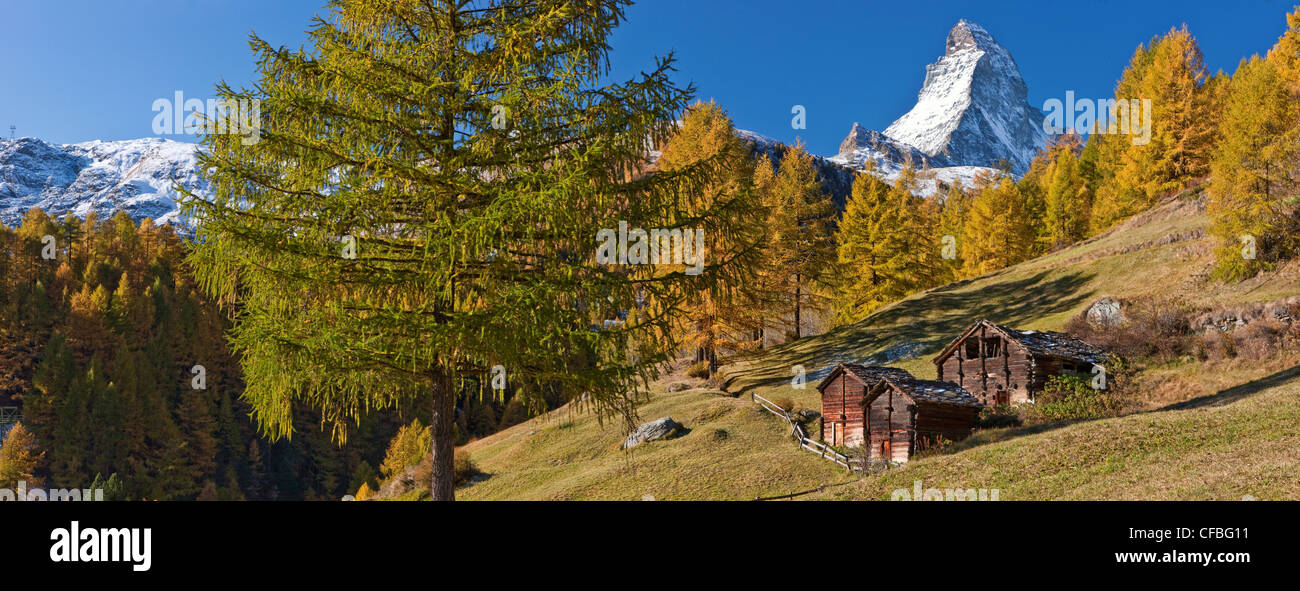 Valais, Wallis, Switzerland, Europe, Alps, tree, trees, mountain ...