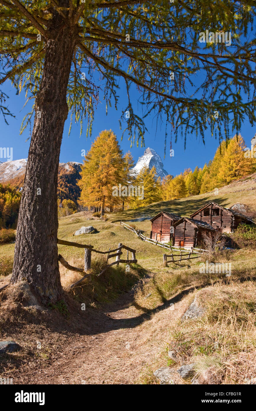 Valais, Wallis, Switzerland, Europe, Alps, tree, trees, mountain ...