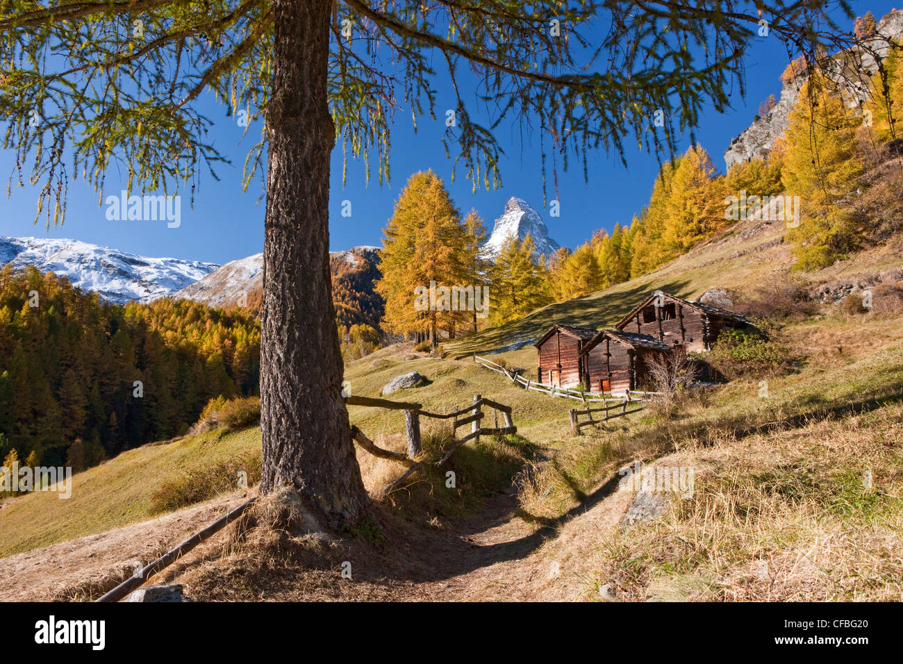 Valais, Wallis, Switzerland, Europe, Alps, tree, trees, mountain ...