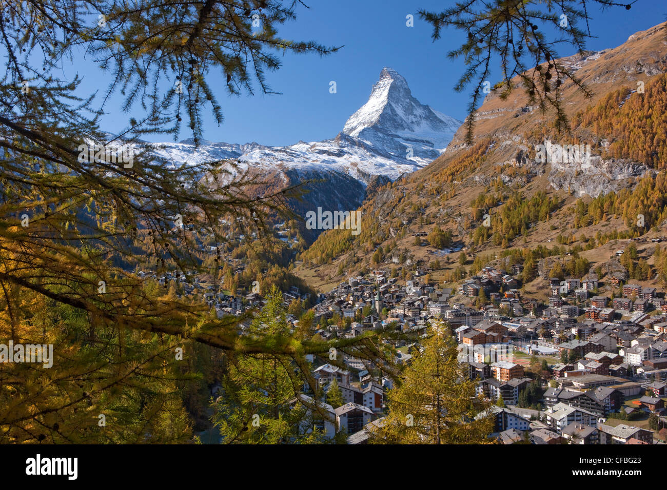 Valais, Wallis, Switzerland, Europe, Alps, tree, trees, mountain ...