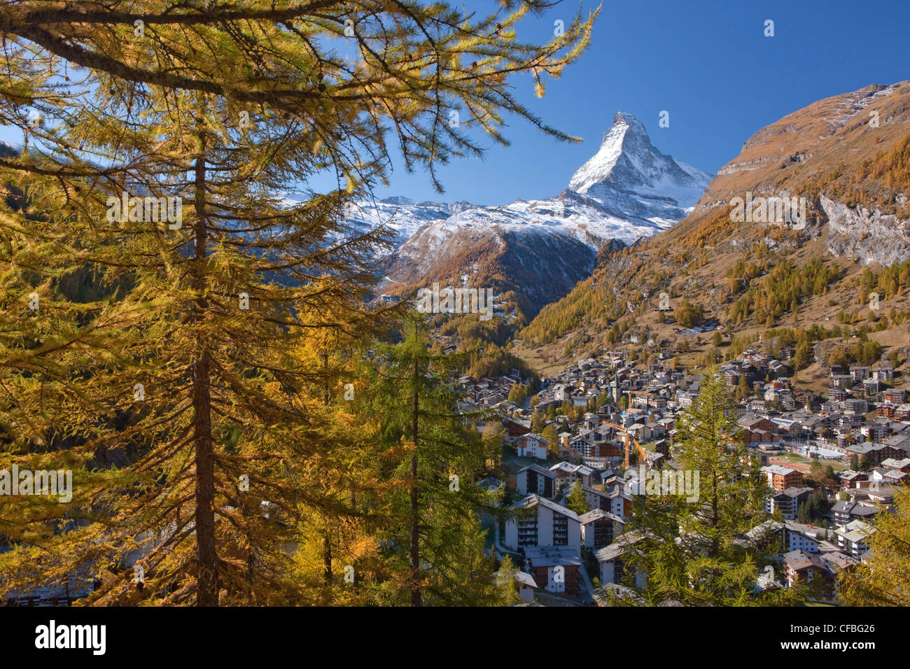 Valais, Wallis, Switzerland, Europe, Alps, tree, trees, mountain ...