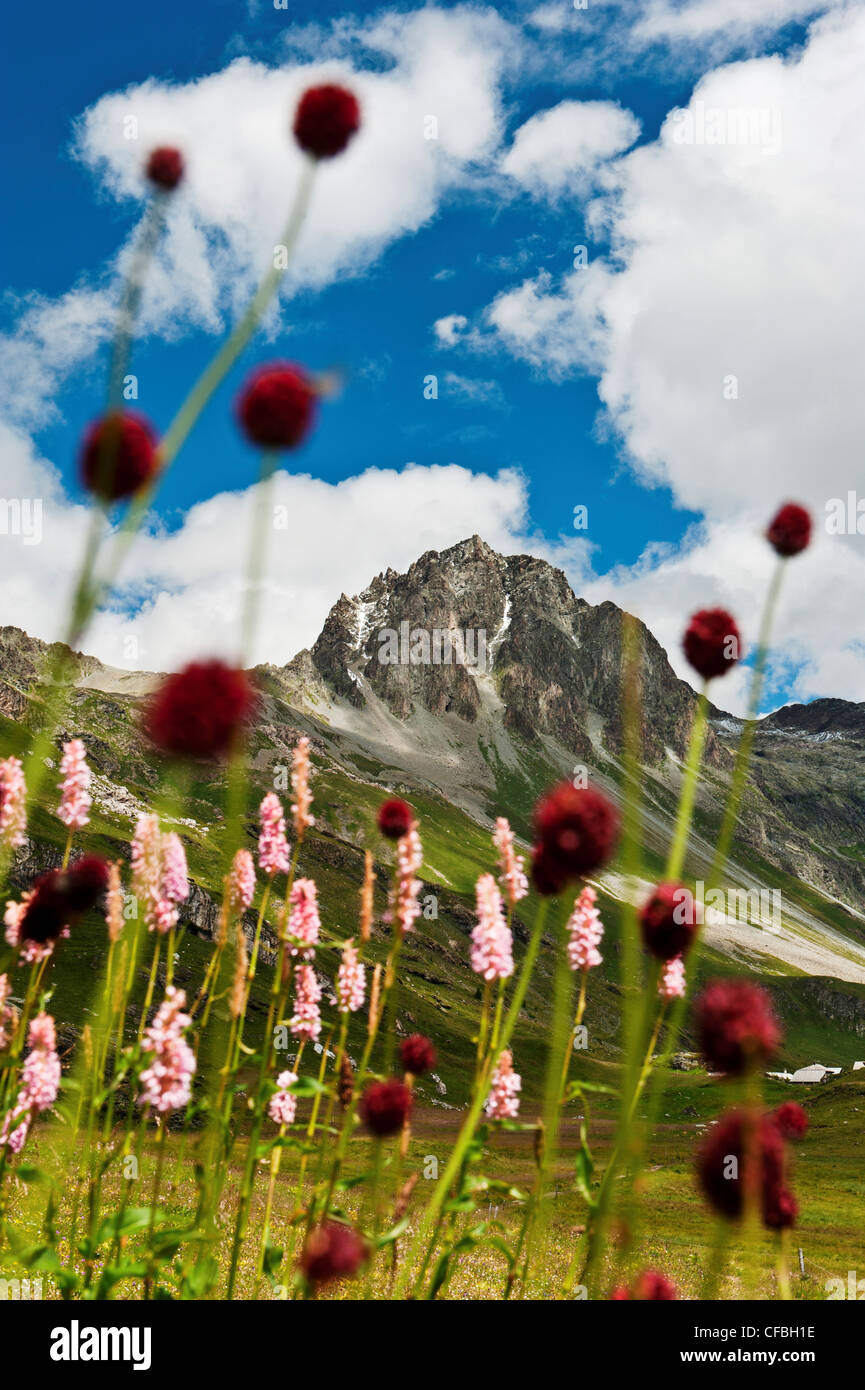 Alps, mountainscape, mountain scenery, mountain landscape, Engadine ...