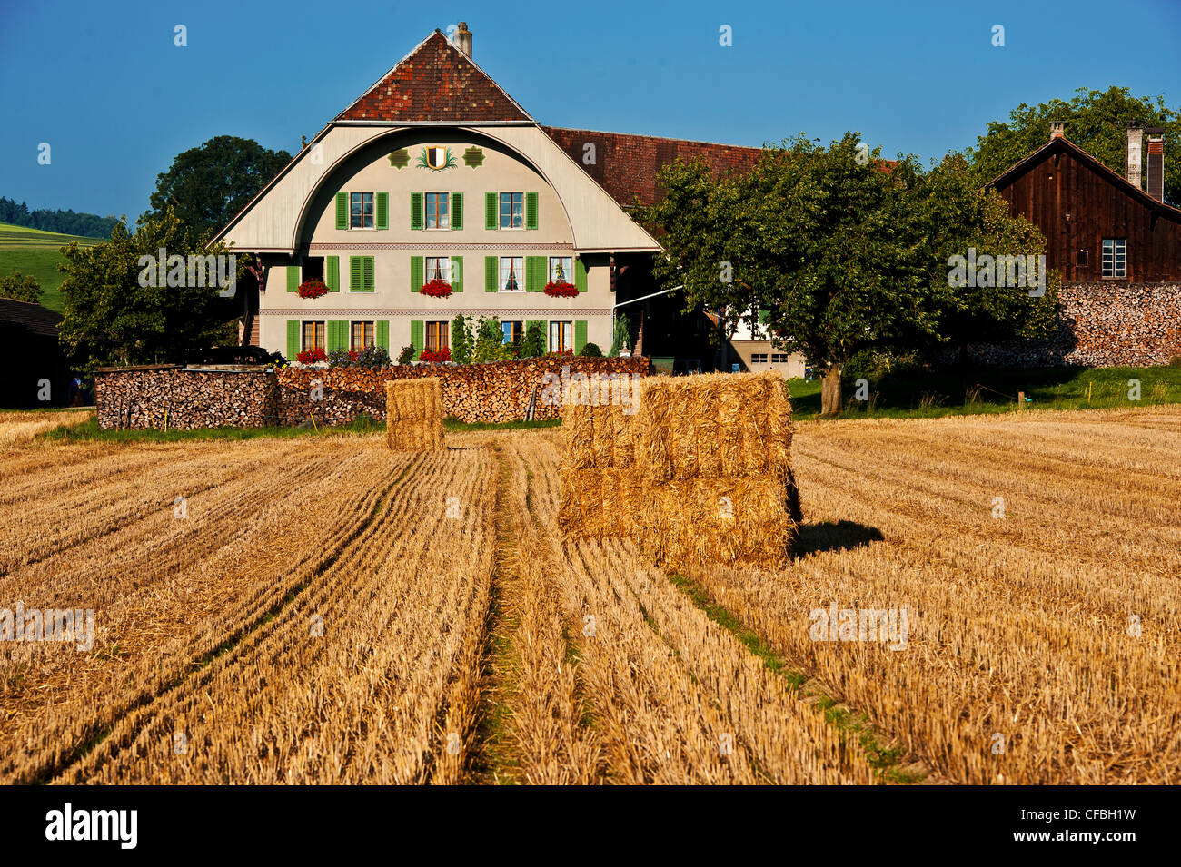 field, farmstead, farm, farmhouse, farm house, Burgdorf, Feld ...