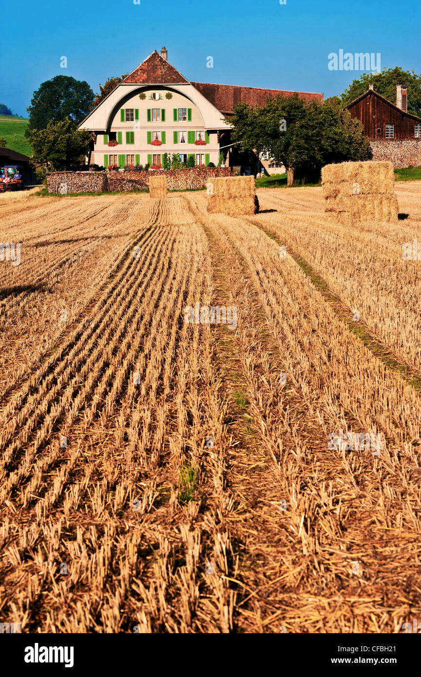field, farmstead, farm, farmhouse, farm house, Burgdorf, Feld ...
