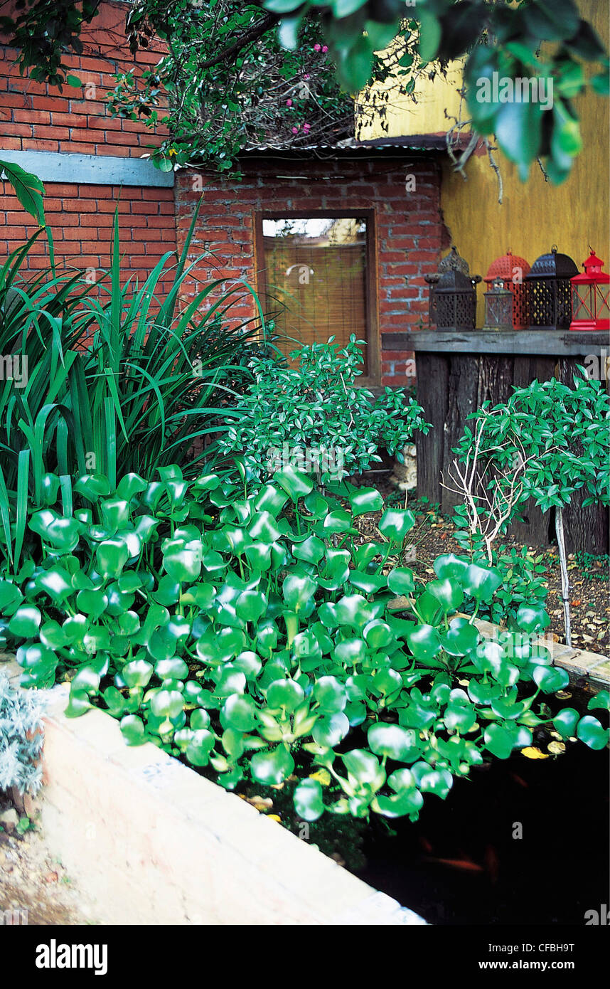 City Garden: Redbrick garden shed, fish pond with gold fish, green ...