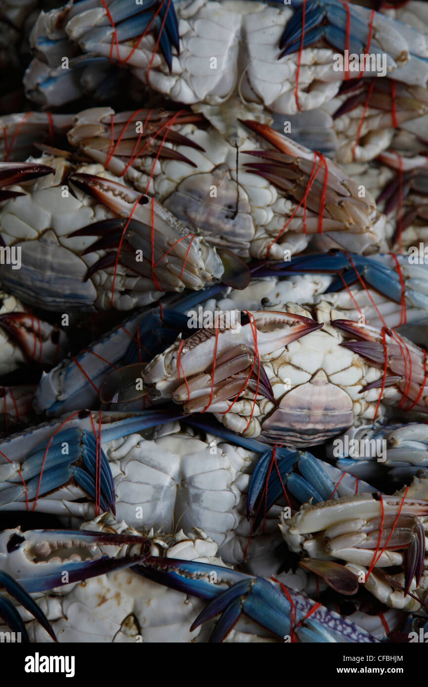 Crabs at a stall of a fishmonger at the fish market in Kota Kinabalu ...
