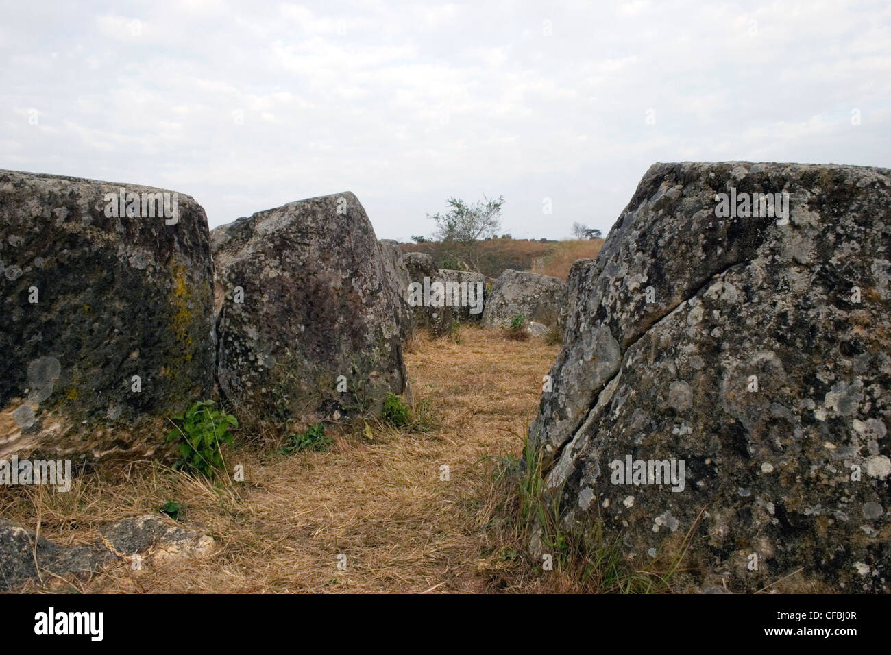 Stone jars in a field are on display at Plain of Jars Archeological ...