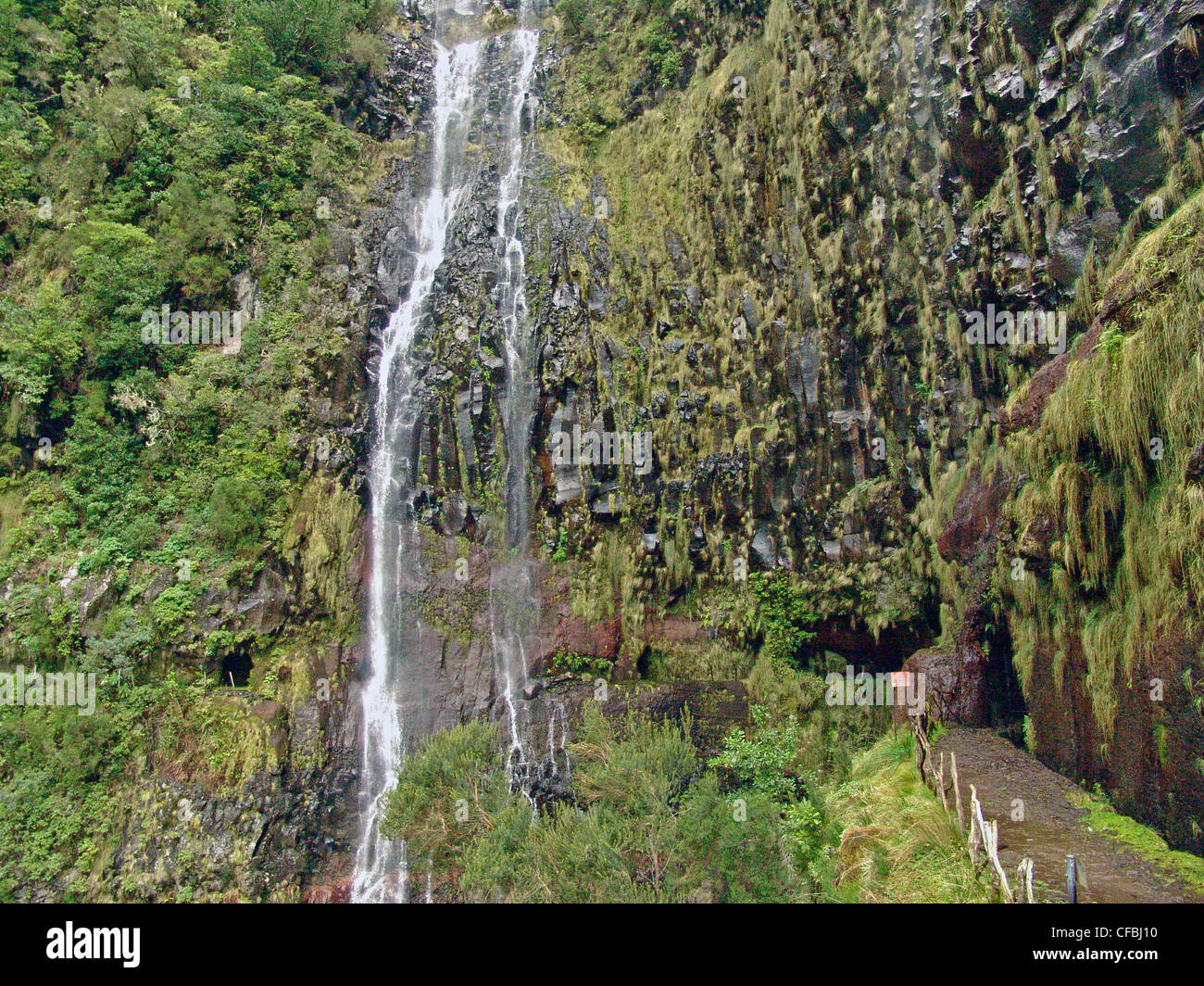 Europe, Portugal, Madeira, Rabacal, Risco, waterfall, Levada do Risco ...