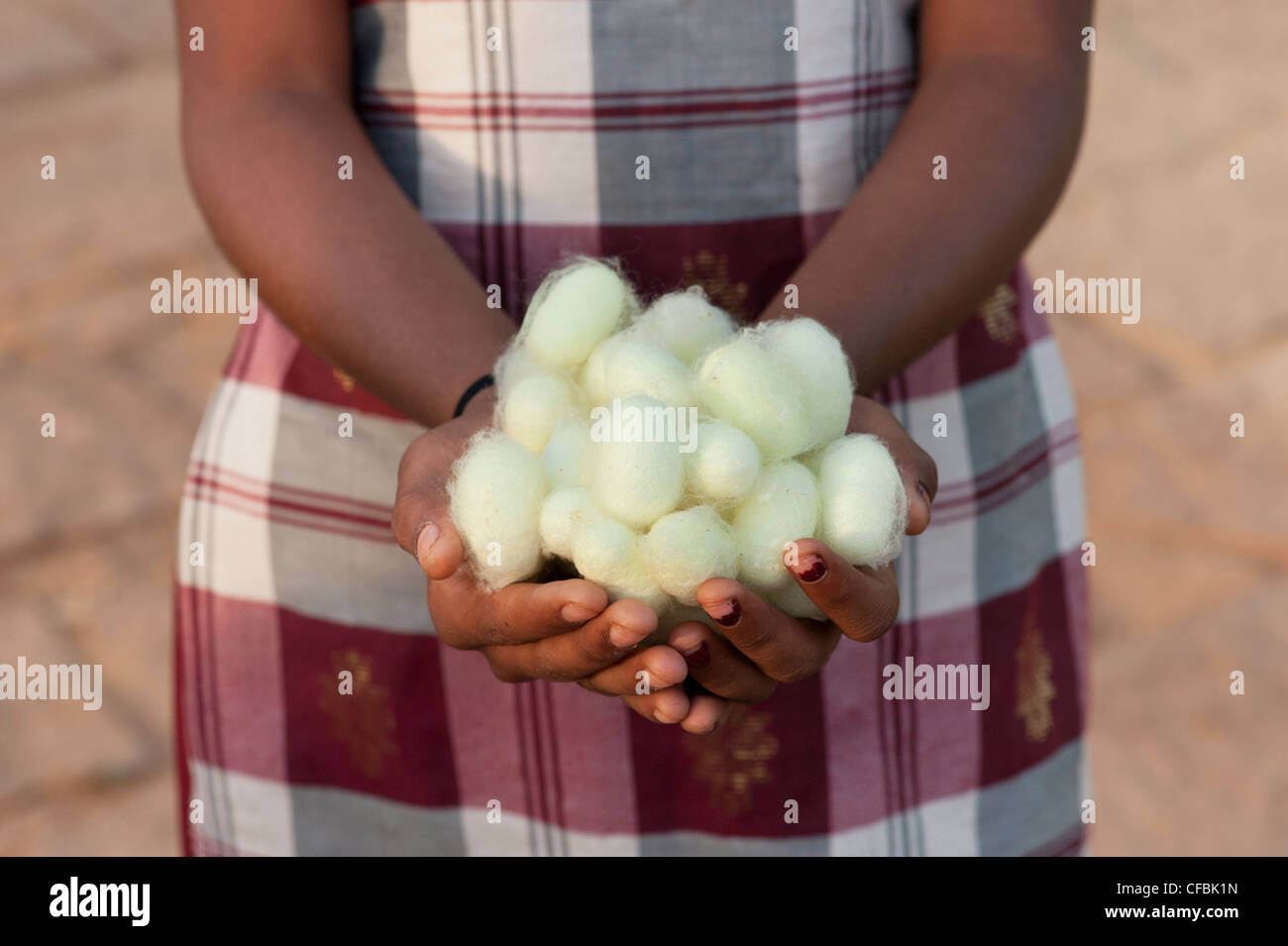 Farming silk from silkworms hi-res stock photography and images - Alamy
