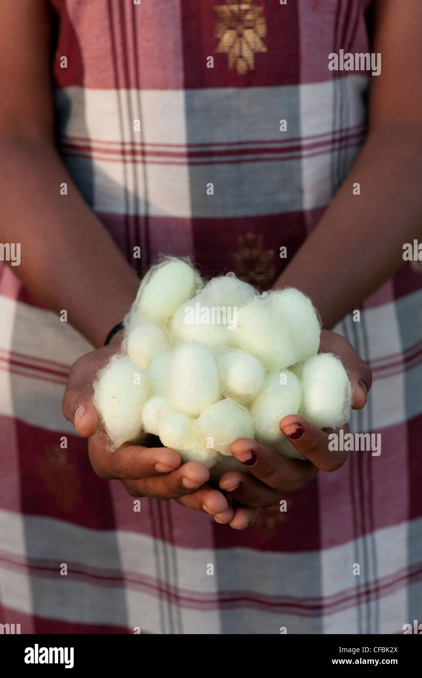 Indian girl holding silkworm cocoons in her hands. Andhra Pradesh ...