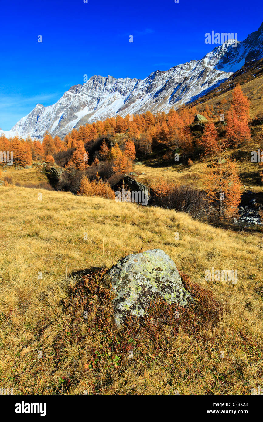 View, Lötschenlücke, Fafleralp, riverbed, autumn, colors, Lonza, river ...