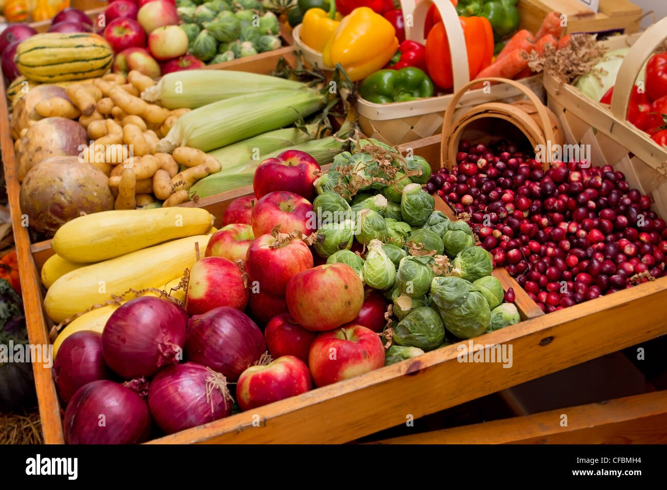 large group of fall harvest vegetables including corn and apples Stock ...