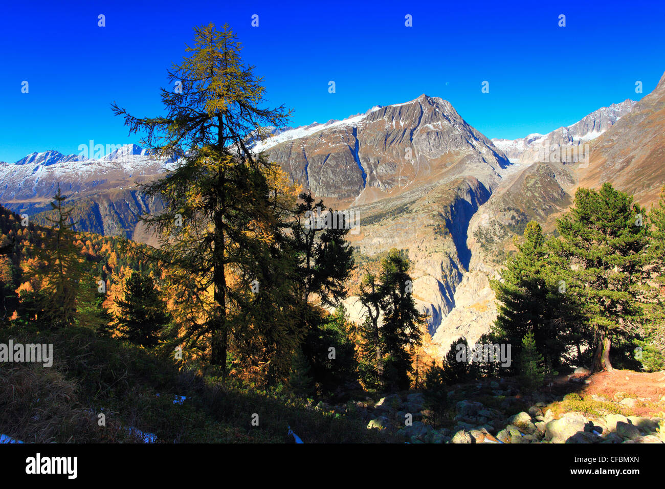 Area view hi-res stock photography and images - Alamy