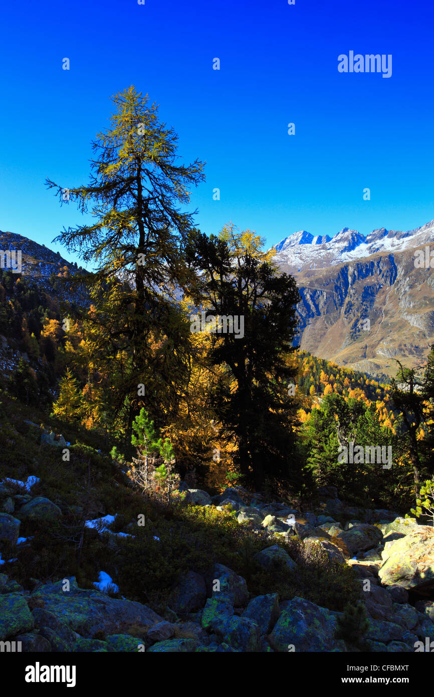 Area view hi-res stock photography and images - Alamy