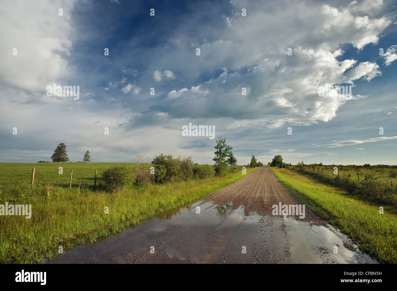 Cochrane alberta hi-res stock photography and images - Alamy