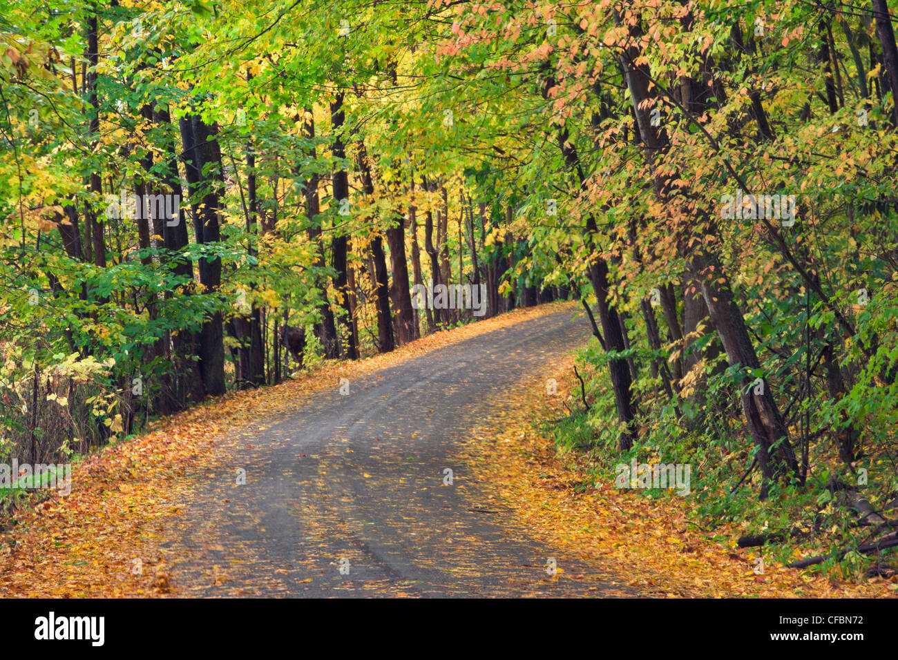 Sulphur Springs High Resolution Stock Photography and Images - Alamy