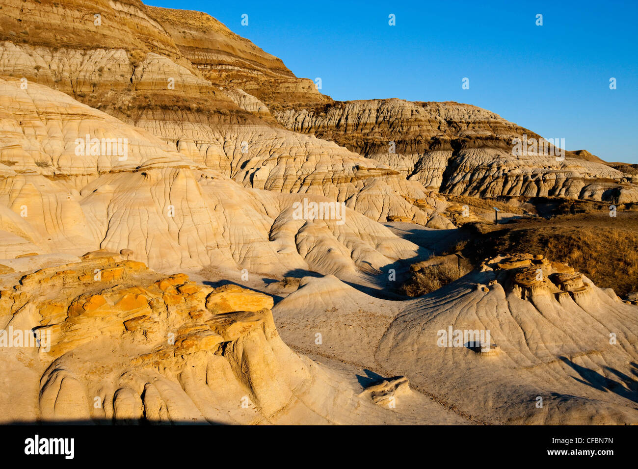 Hoodoo formation in The Badlands, Drumheller, Alberta, Canada Stock ...