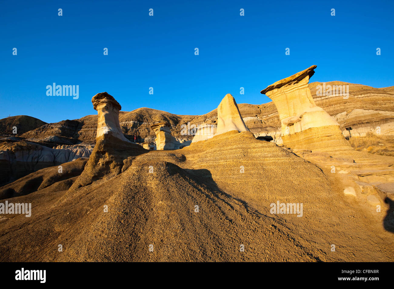 Hoodoo formation in The Badlands, Drumheller, Alberta, Canada Stock ...