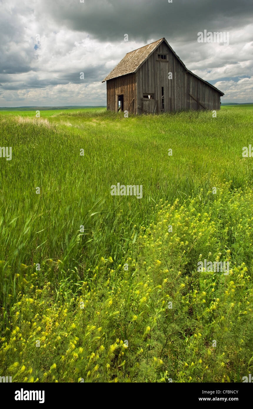 Old, rustic building near Leader, Saskatchewan, Canada Stock Photo - Alamy