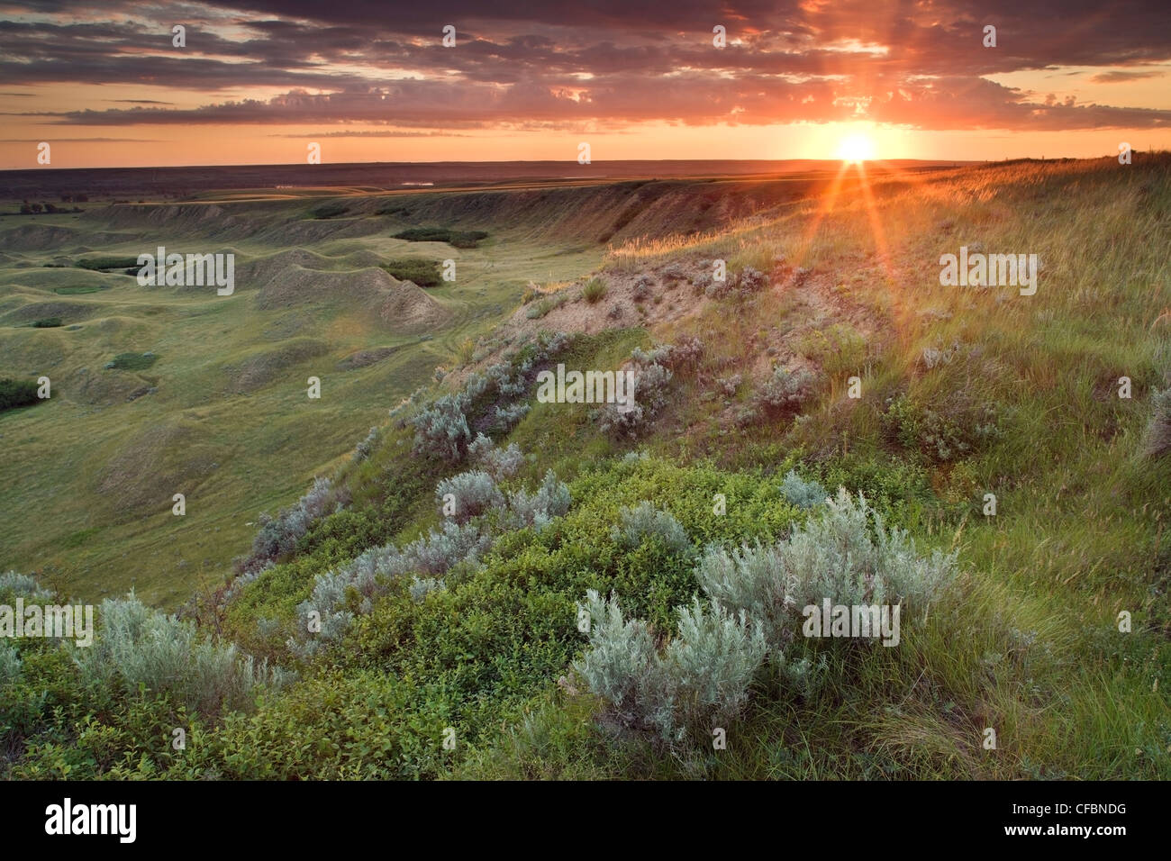 Checkerboard hi-res stock photography and images - Alamy