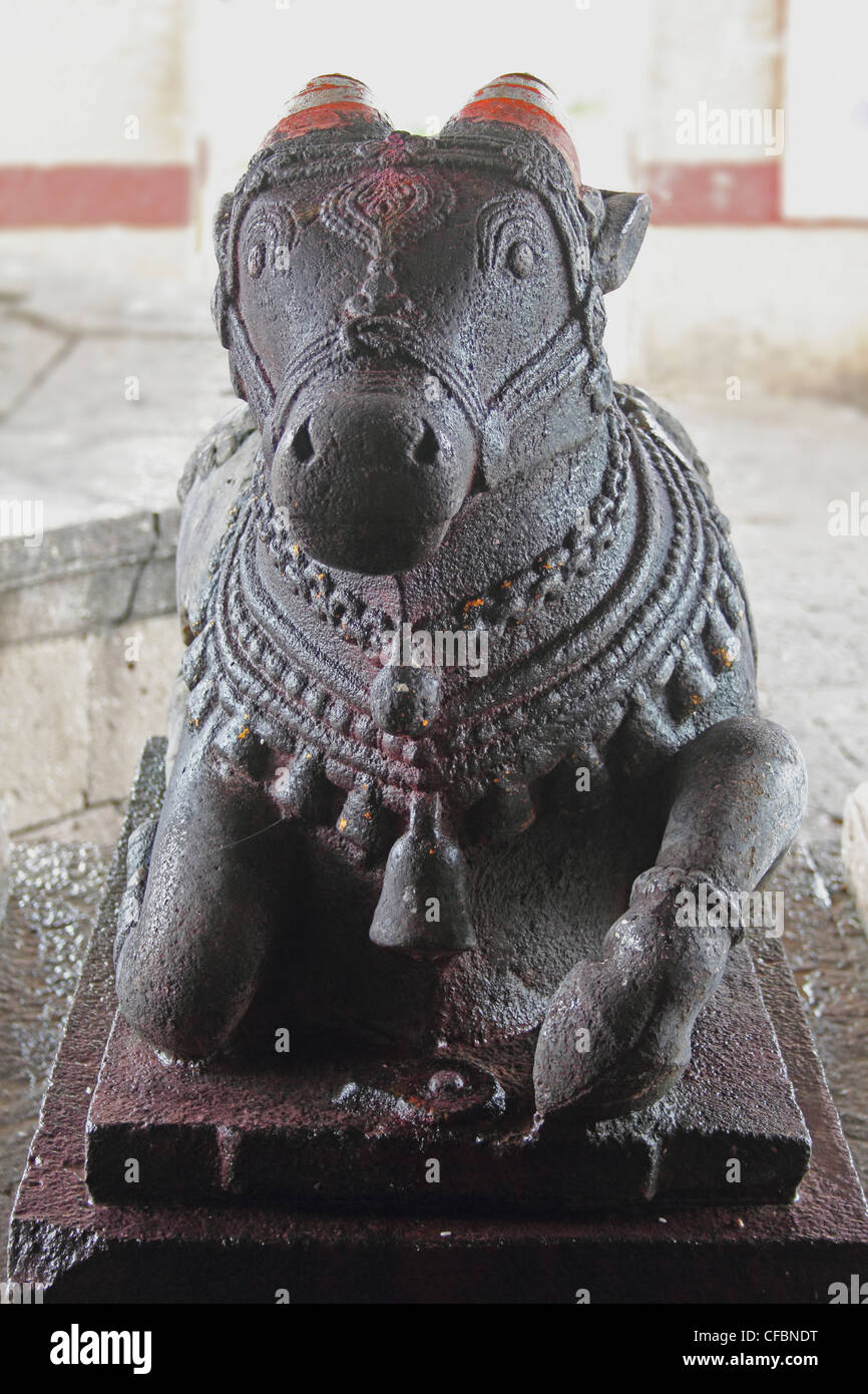 Nandi at Shri Koteshwar Temple Situated between Village Limb and Gove ...