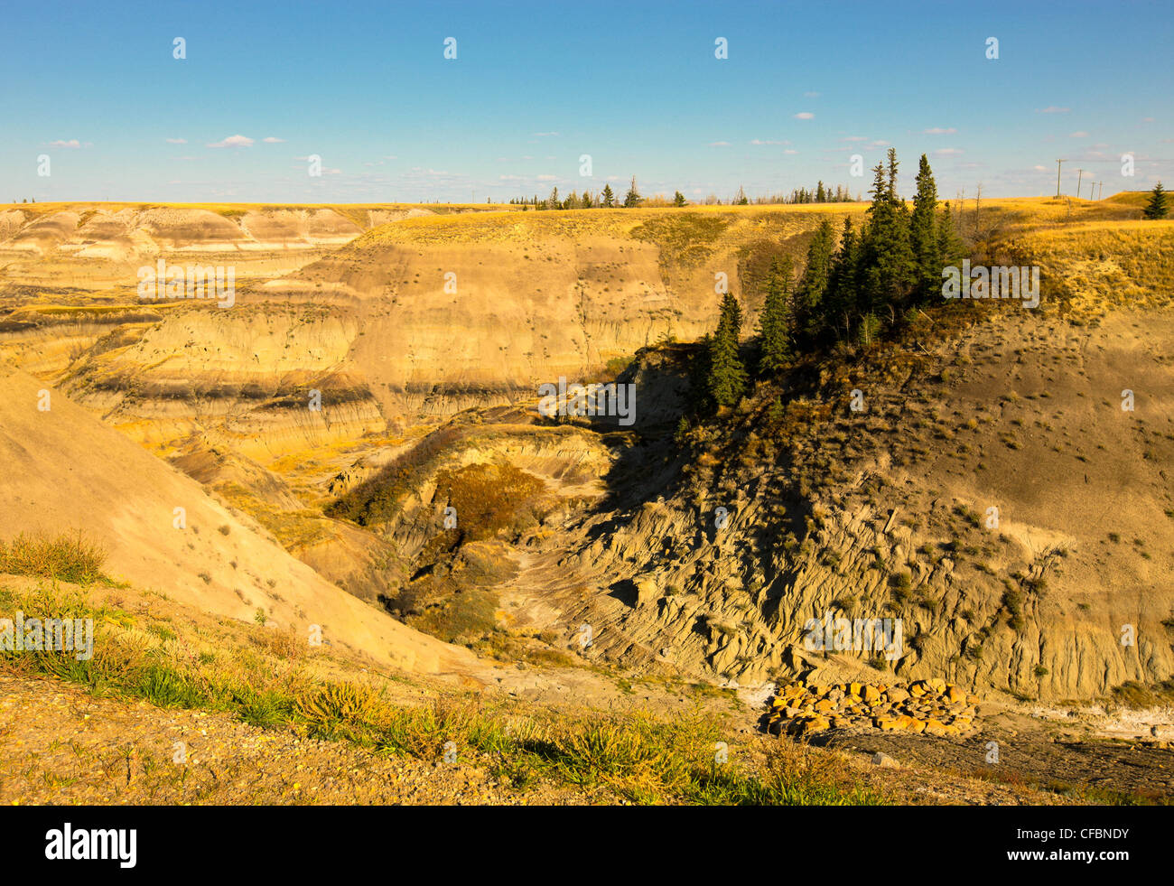 The Horseshoe Canyon formation, Alberta, Canada Stock Photo - Alamy