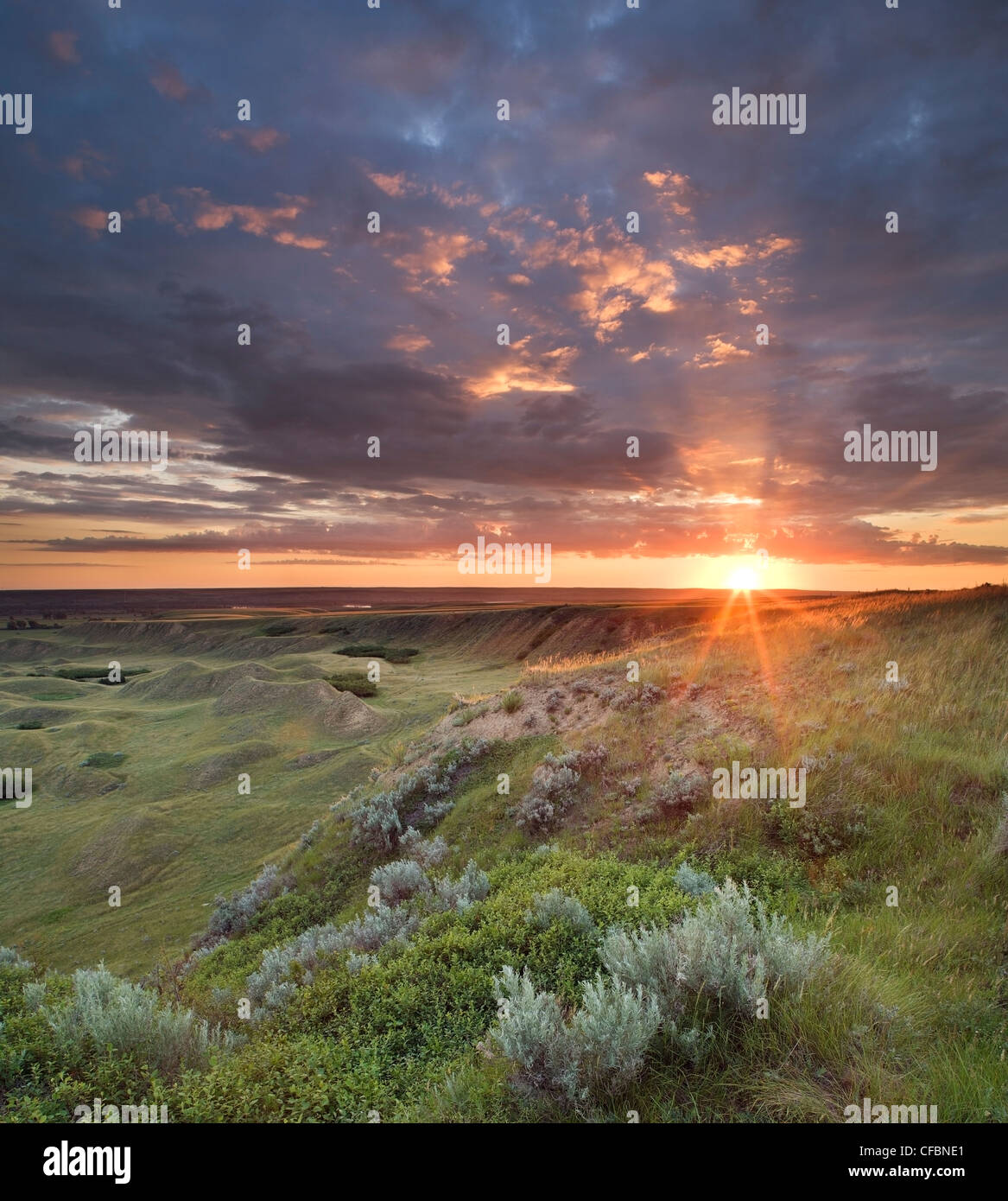 Checkerboard hill hi-res stock photography and images - Alamy