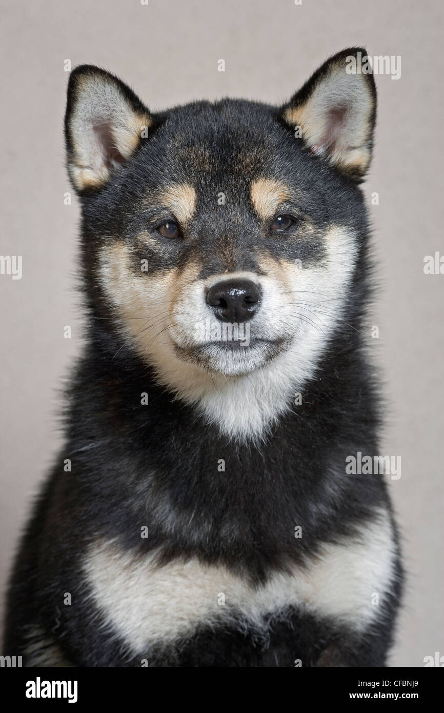 Adult ken hi-res stock photography and images - Alamy